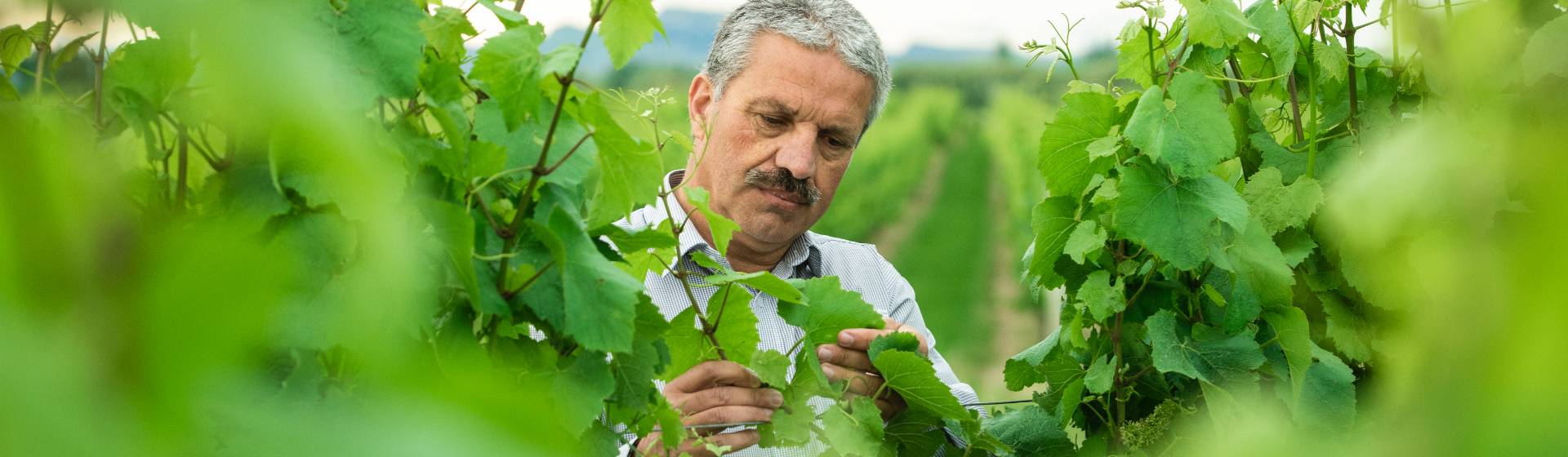 Sustainability | BASF Crop Solutions New Zealand